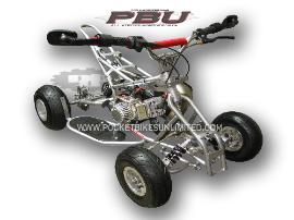 CUSTOM MINI QUADS | 4 STROKE QUADS